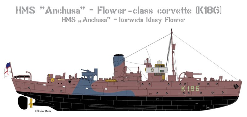 NNT Modell | HMS Anchusa Flower Class Corvette (K186) | purchase online